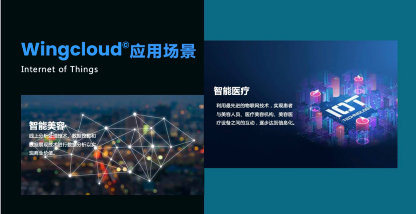 From the aesthetic industry needs to the future development, Wincloud ...