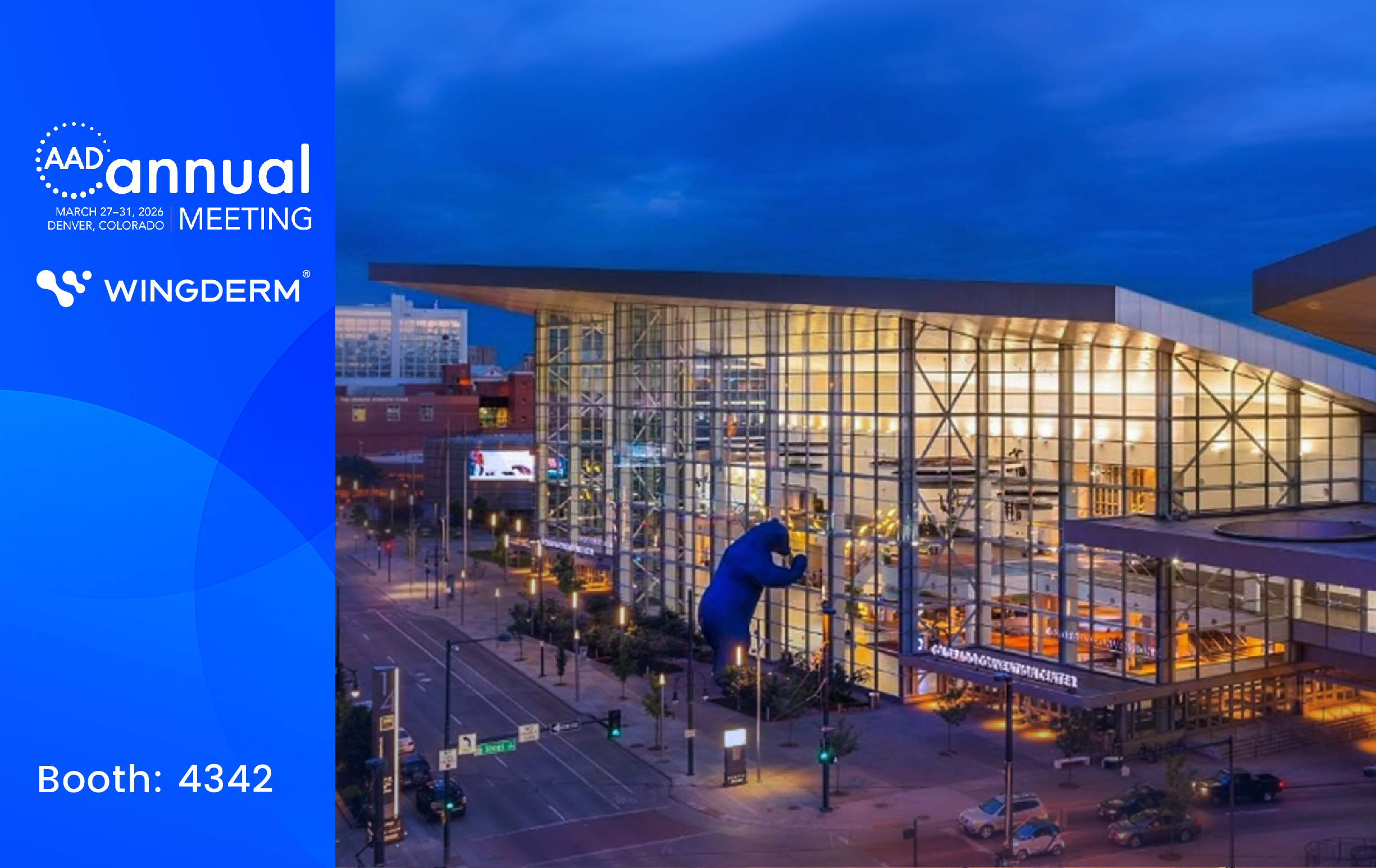 AAD ANNUAL MEETING 2026 - Wingderm Electro-Optics Ltd.